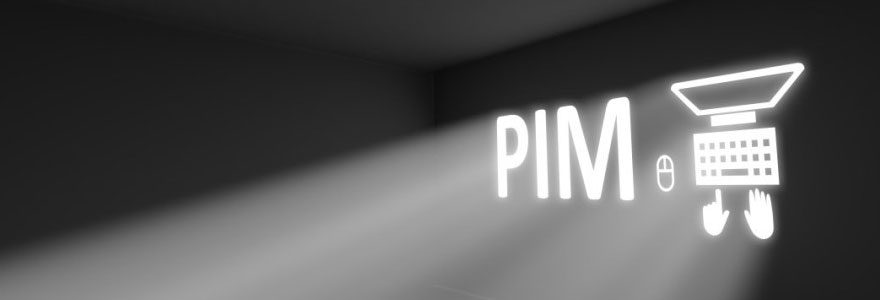 How Does A PIM System Work?